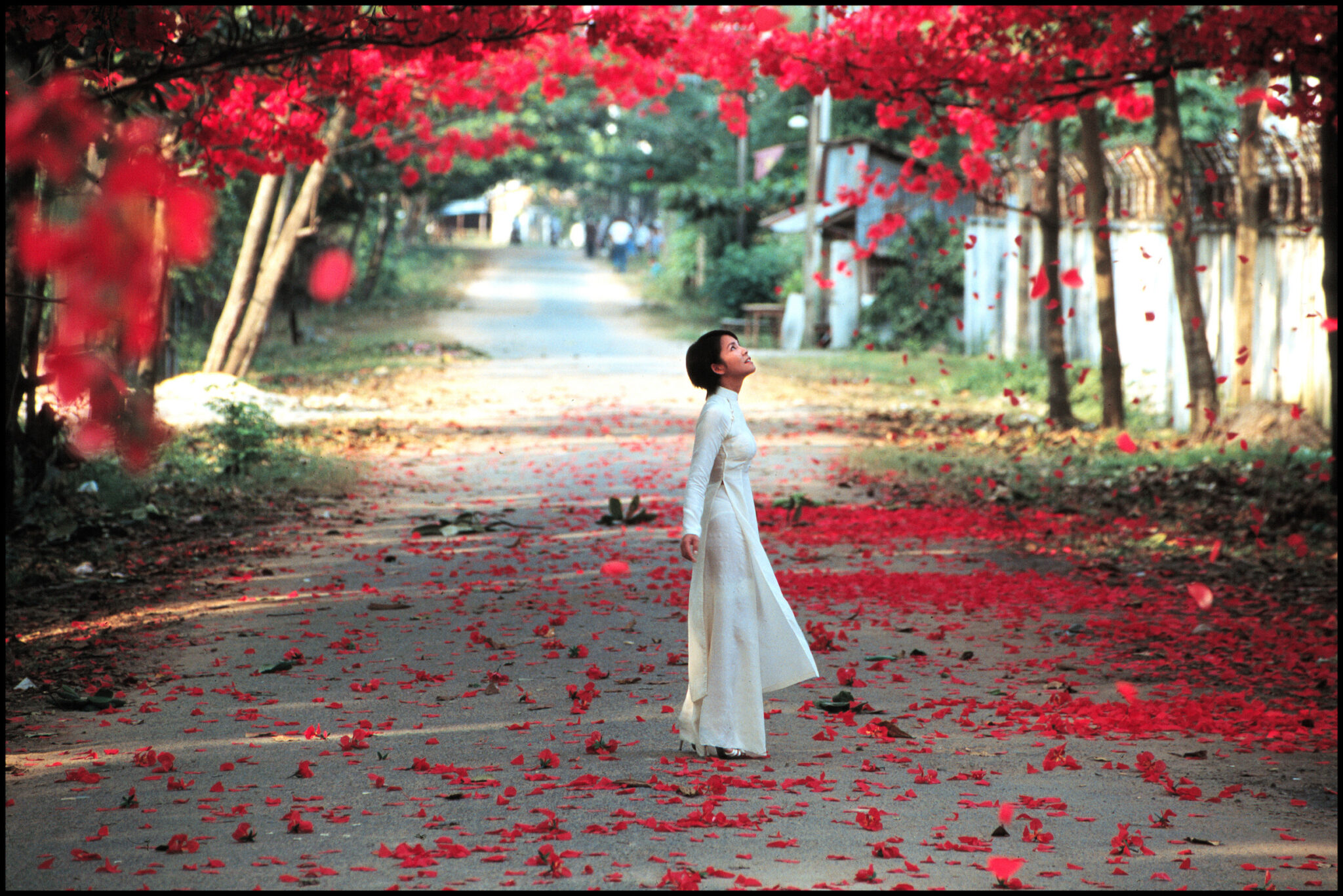 ĐẠI HỘI ĐIỆN ẢNH VIỆT NAM (VIET FILM FEST) 2024 CHIẾU PHIM THREE ...